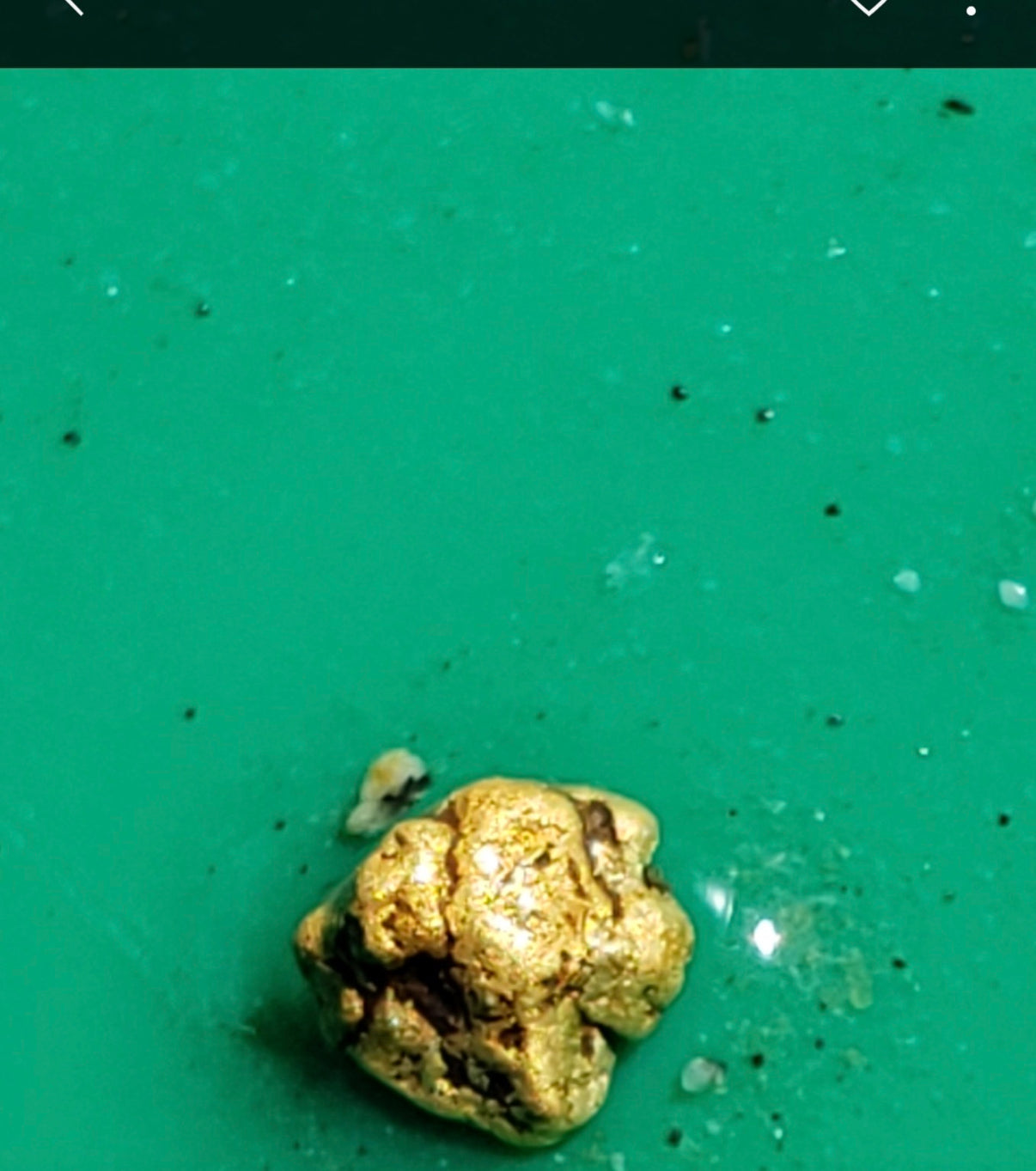 Gold Life - Lifetime GPAA Membership – Gold Prospectors Association of ...