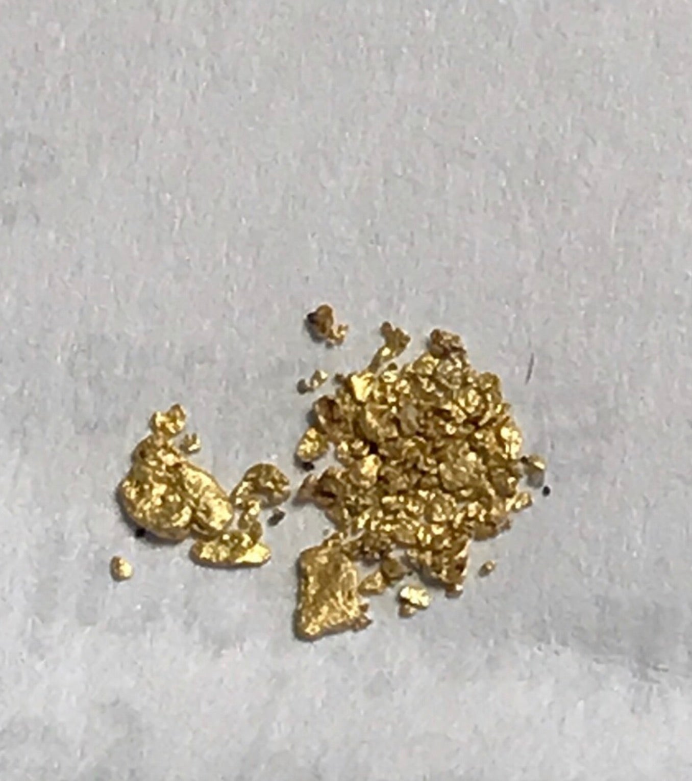 Gold Life - Lifetime GPAA Membership – Gold Prospectors Association of ...