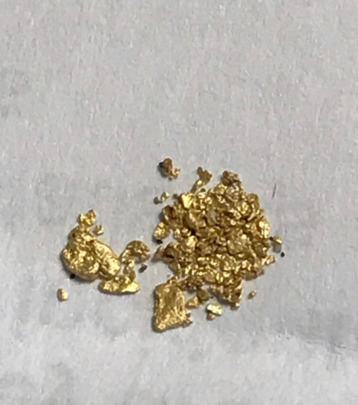 Gold Life - Lifetime GPAA Membership – Gold Prospectors Association of ...